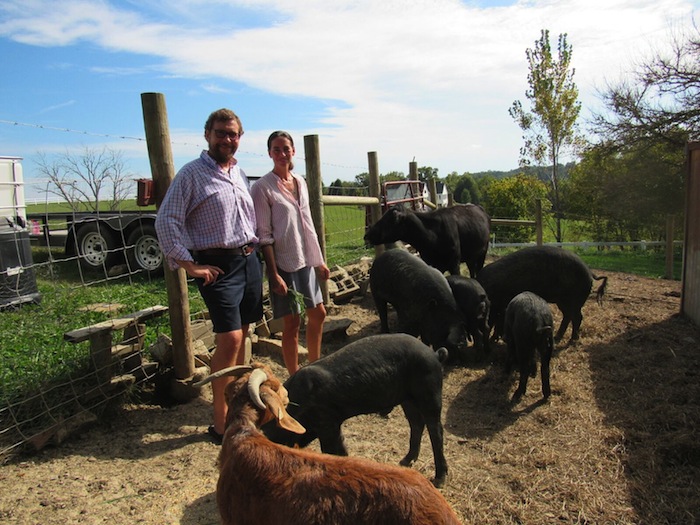 An Academic (and Organic) Approach to the Mulefoot Hog - Countryside